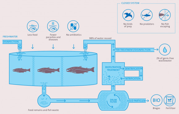 Recirculating Aquaculture System and Ultrasonic Flow Meter