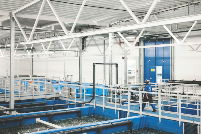 Recirculating Aquaculture System and Ultrasonic Flow Meter