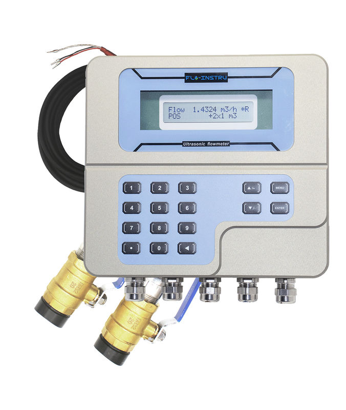 Fixed Ultrasonic Flowmeter